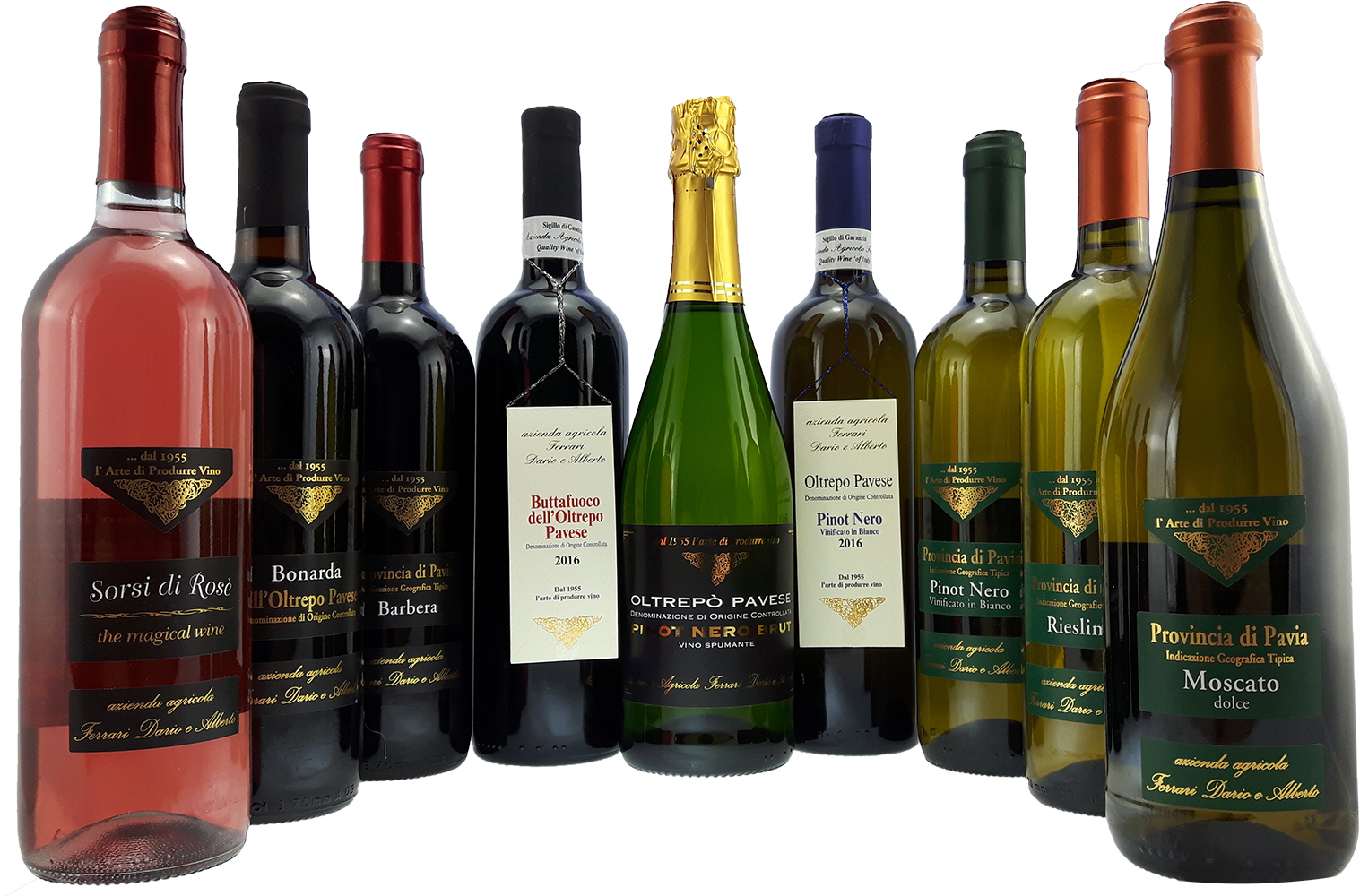 Contatti | Ferrari Vini