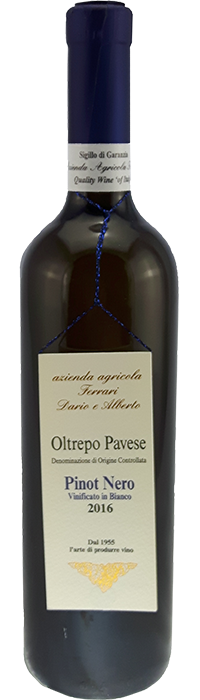 Ferrari Vini | Ferrari Vini