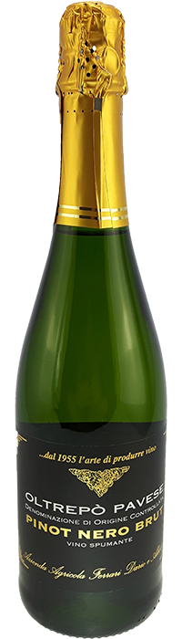 Ferrari Vini | Ferrari Vini