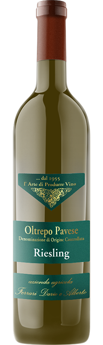 Ferrari Vini | Ferrari Vini